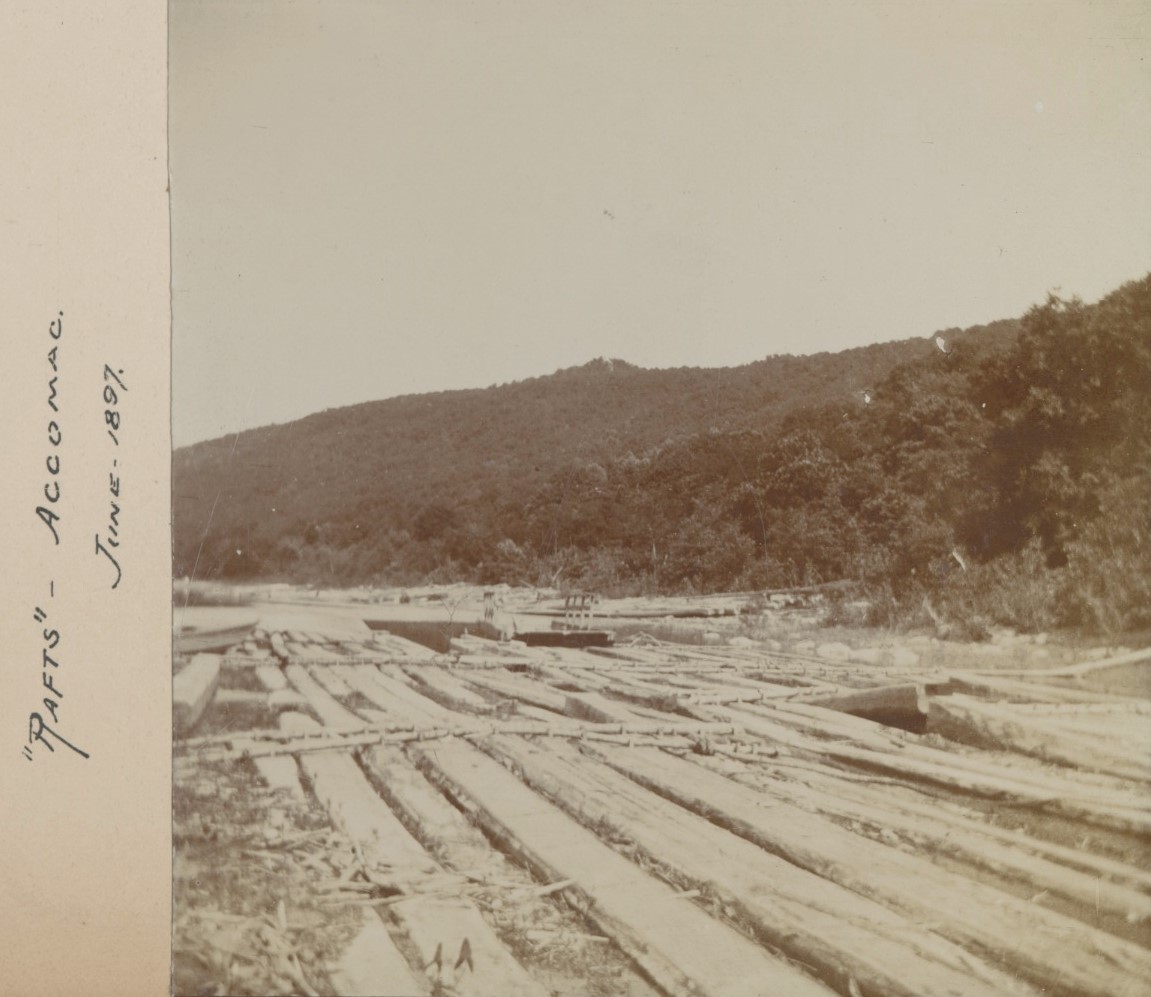 RiverRoots: Felling Penn’s Woods